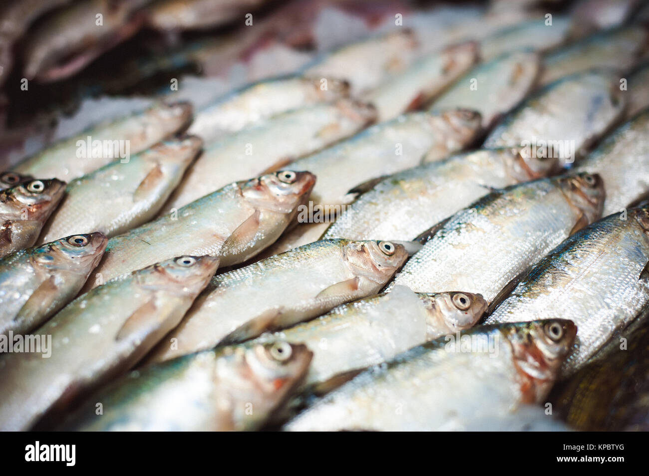 fresh fish on the store shelves, diet food seafood Stock Photo - Alamy