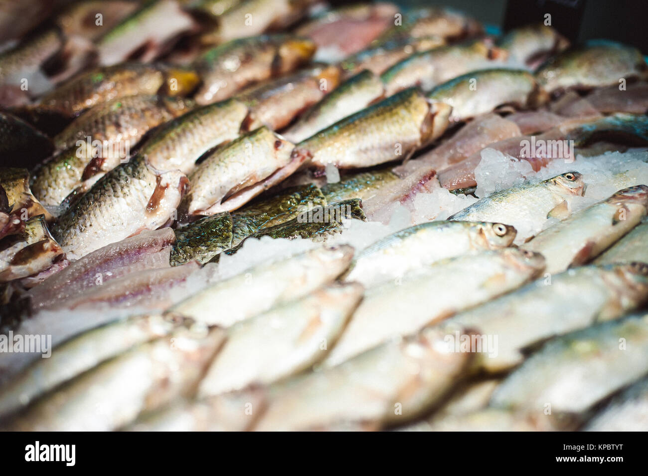 Supermarket shelves fresh fish hi-res stock photography and images - Alamy