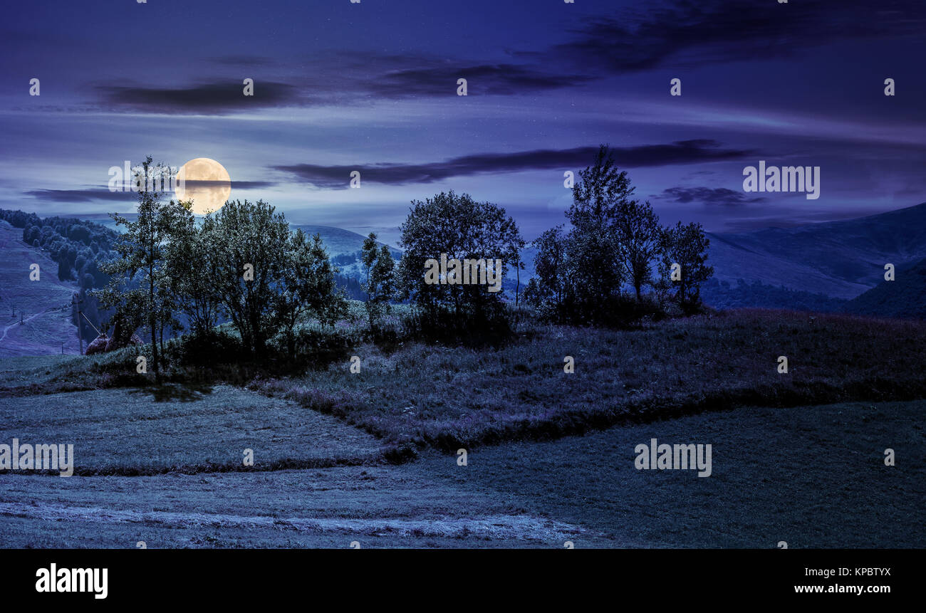 Night rural scenery hi-res stock photography and images - Alamy