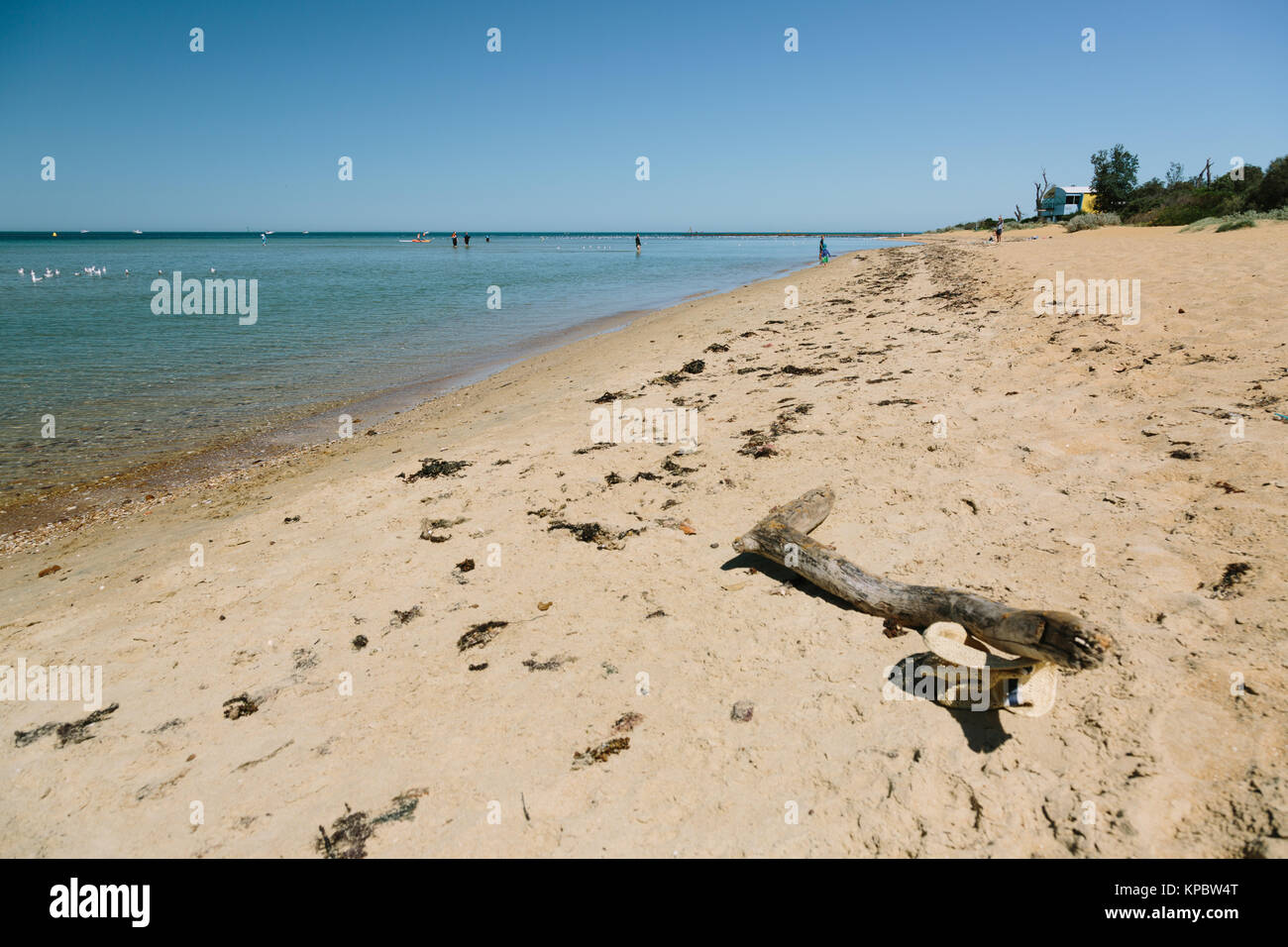 Melbourne horizon hi-res stock photography and images - Alamy