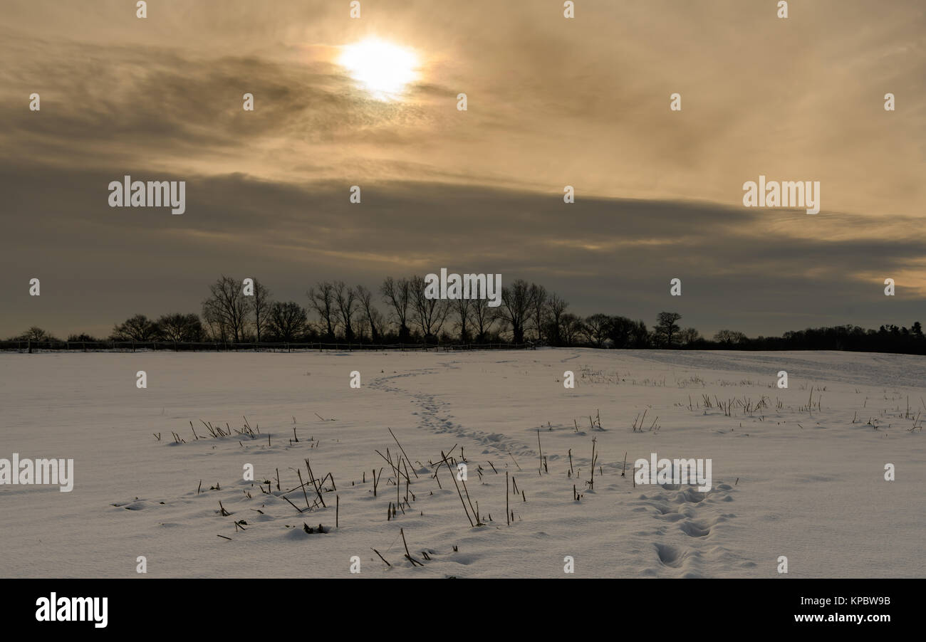 Winter sunrise scenic snow hi-res stock photography and images - Alamy