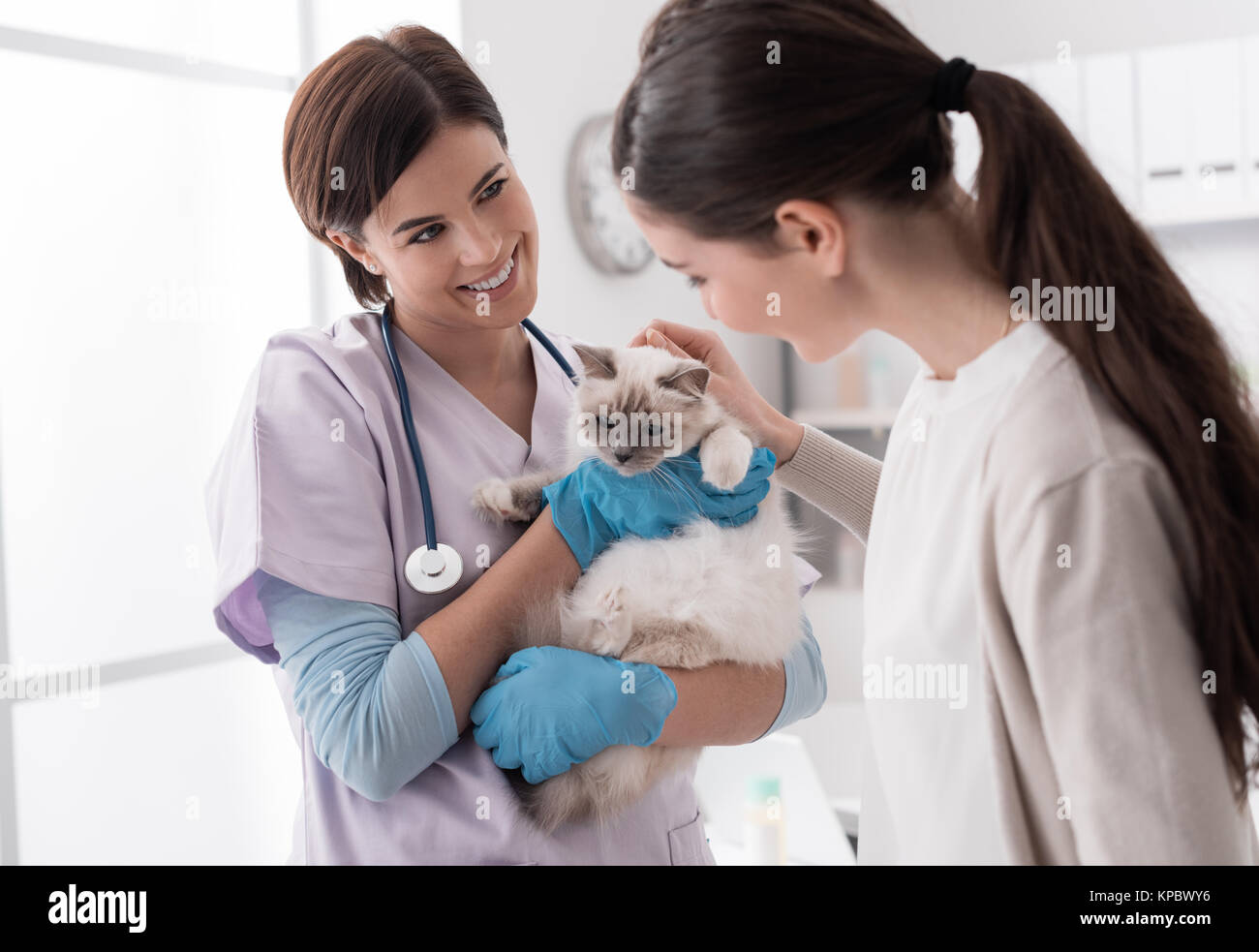 Smiling professional veterinarian holding a beautiful cat after ...