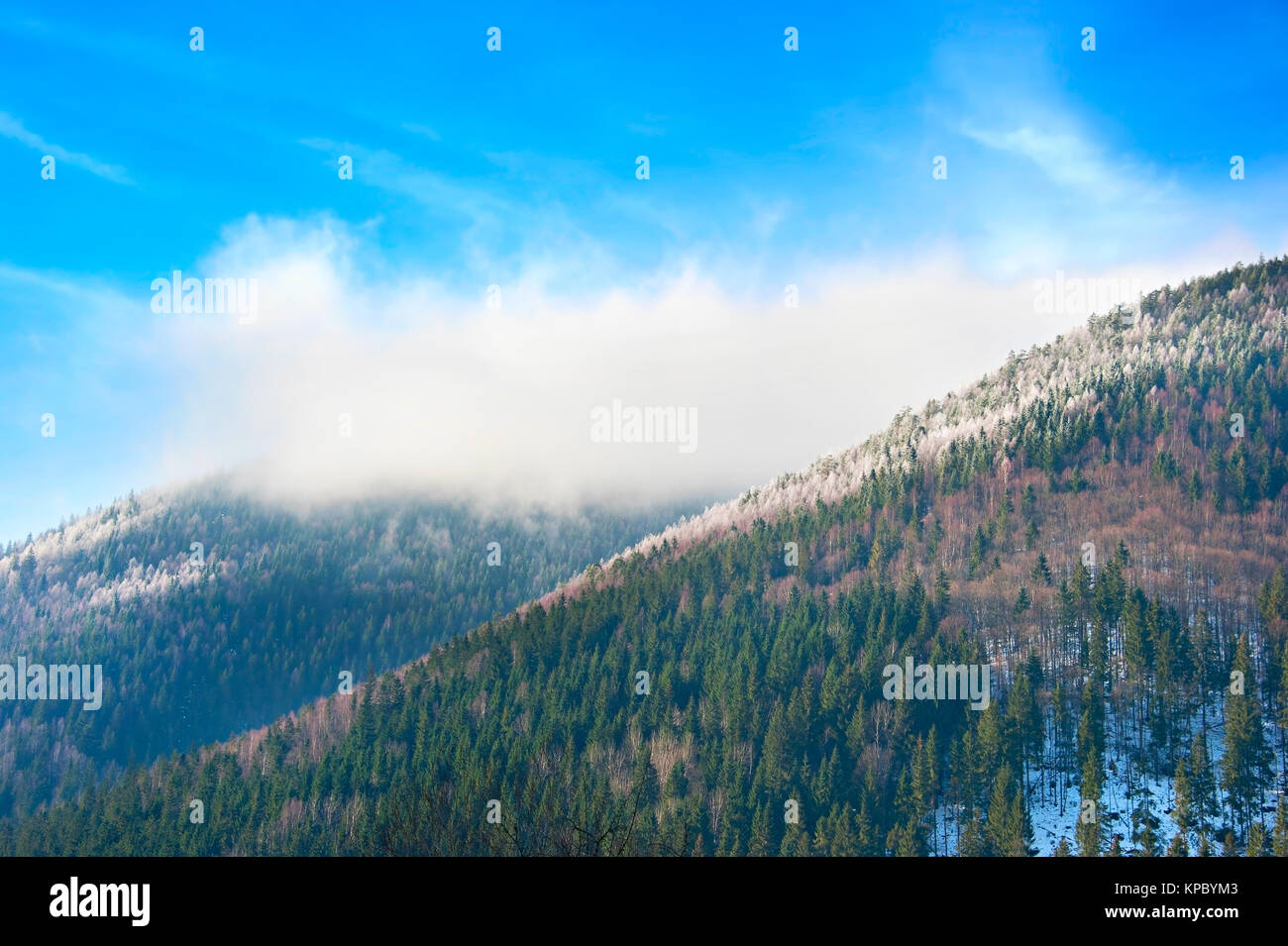 Winter in the Carpathians Mountains Stock Photo - Alamy