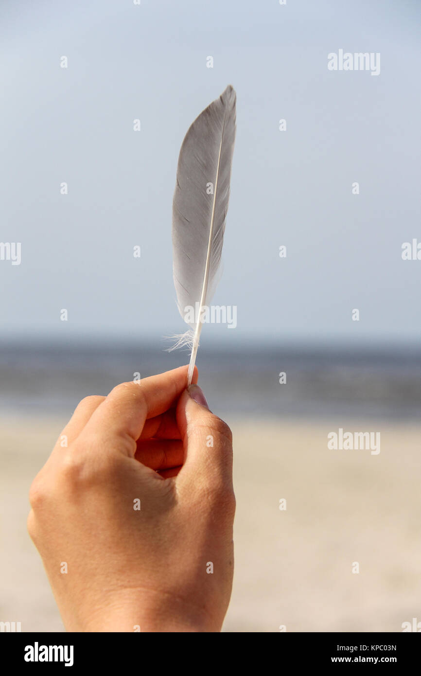 feather in hand sea view Stock Photo - Alamy