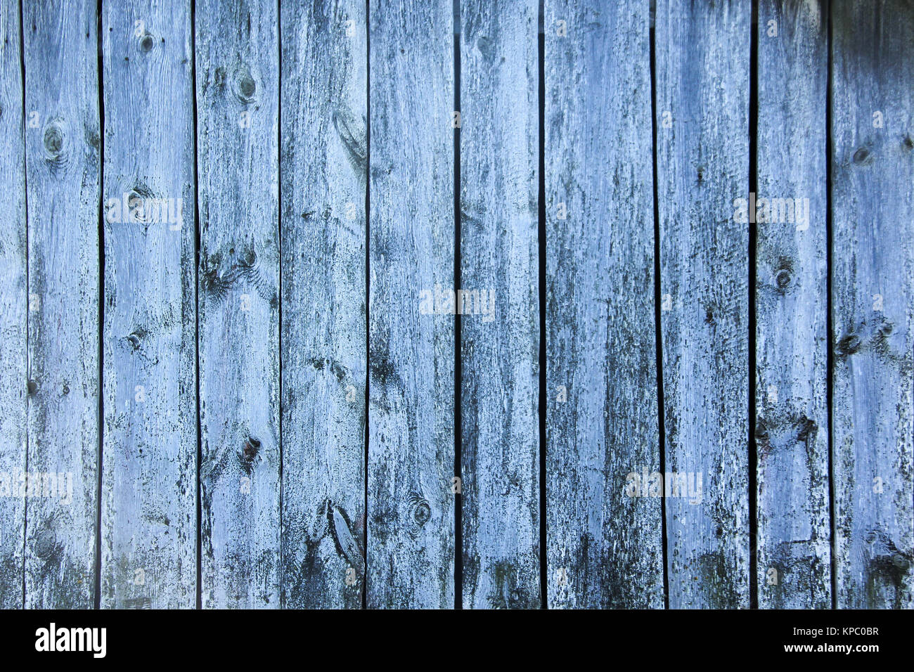 old aged tree wood texture Stock Photo - Alamy