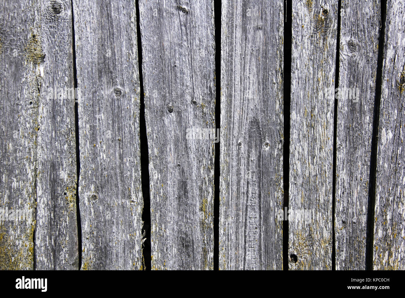 old aged tree wood texture background vintage Stock Photo - Alamy