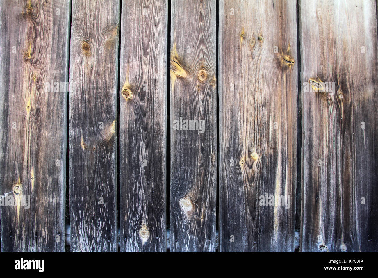 old aged tree wood texture background vintage Stock Photo - Alamy