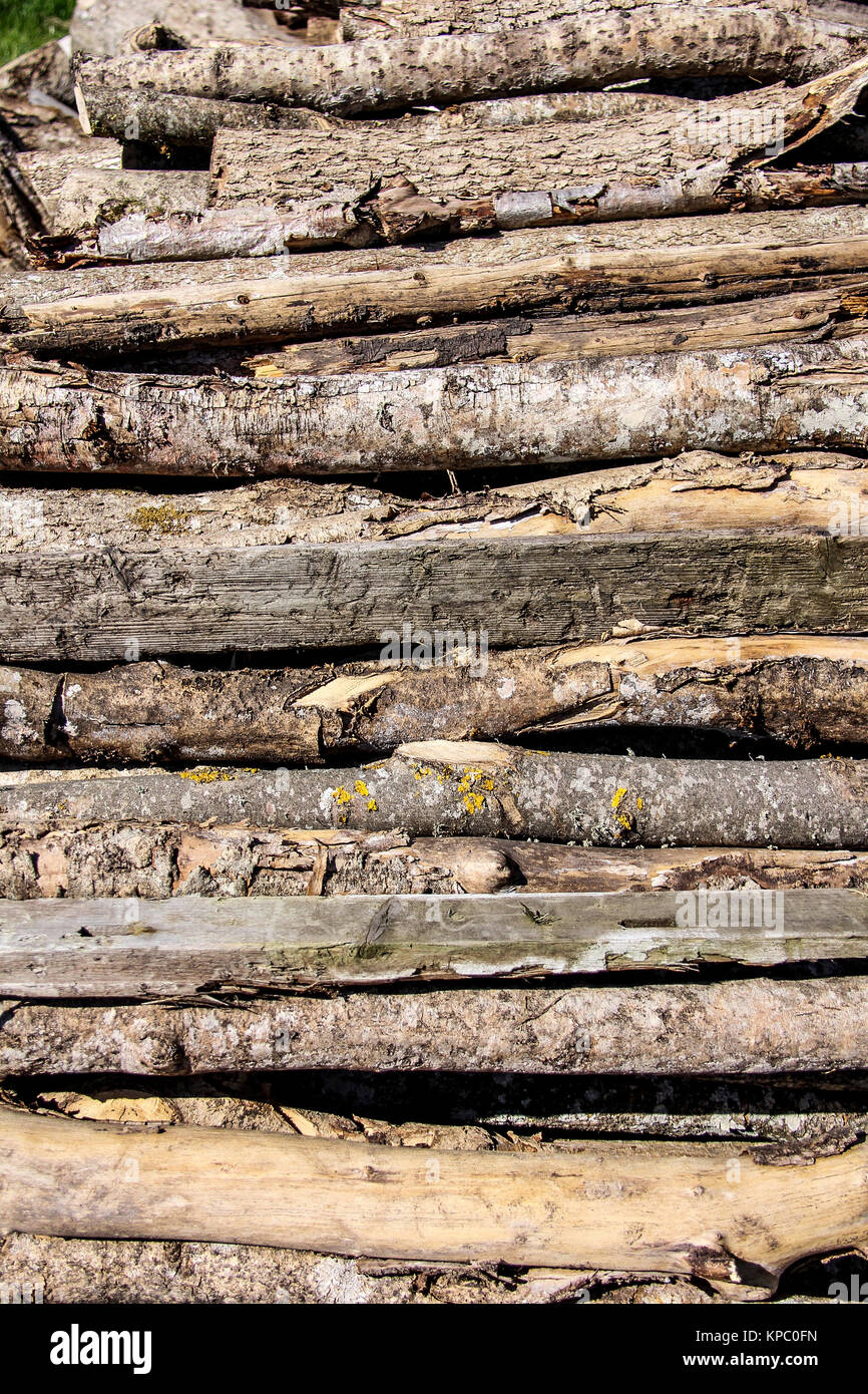 Wood Tree Texturestacked in a Pile and Sawn, Wood Log House Tree ...