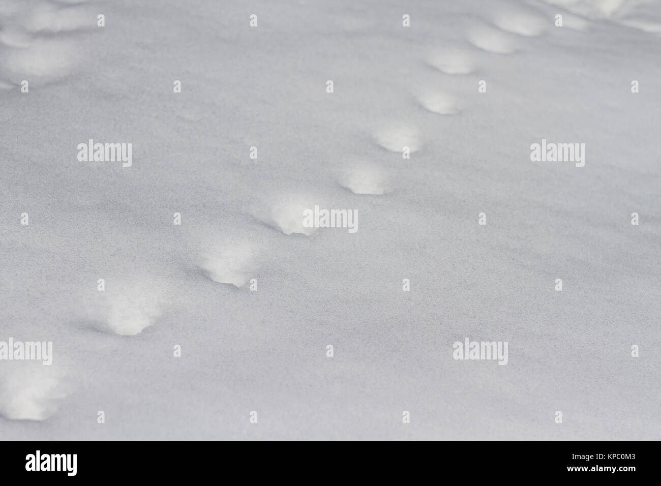 Steps in snow Stock Photo - Alamy