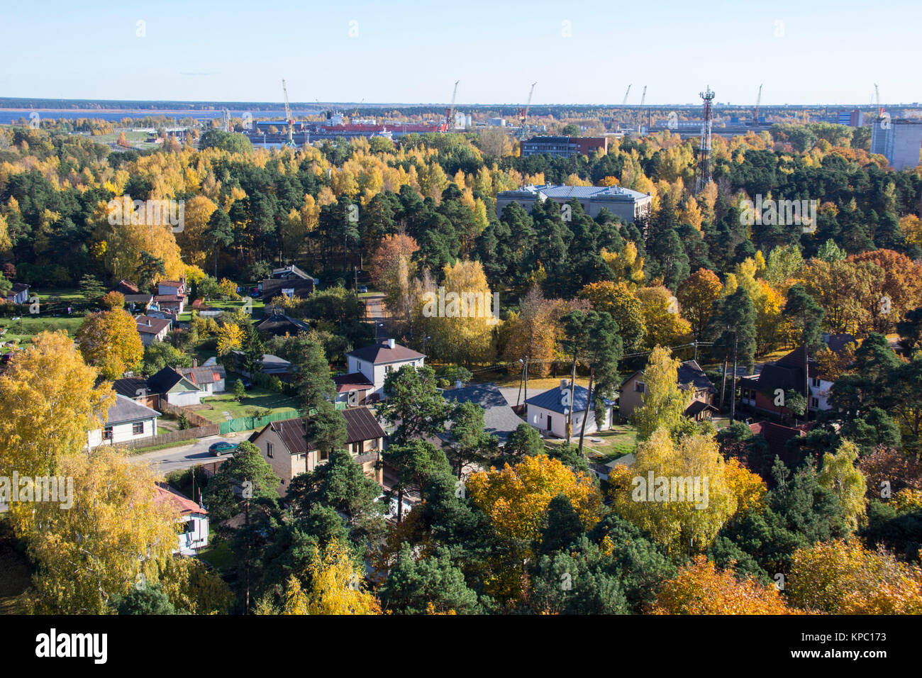 autumn background with colored leaves of the tree latvia view from ...