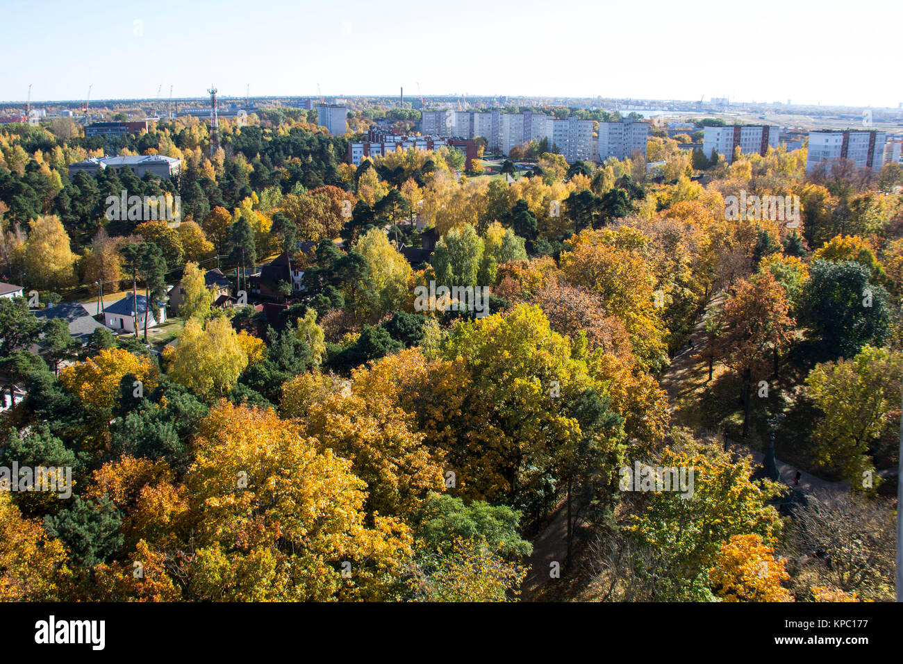 autumn background with colored leaves of the tree latvia view from ...