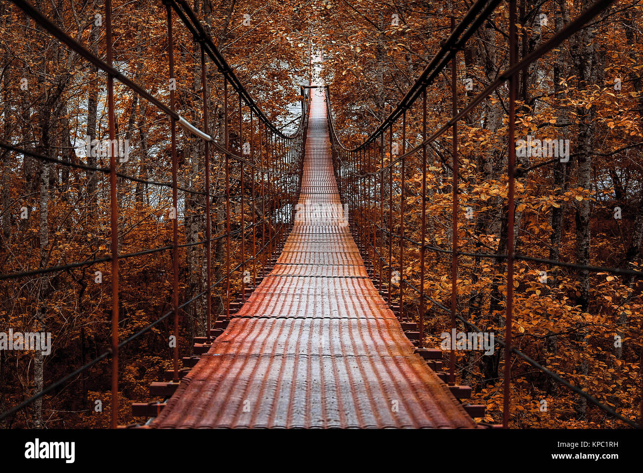 Suspension bridge, beautiful golden autumn Stock Photo - Alamy