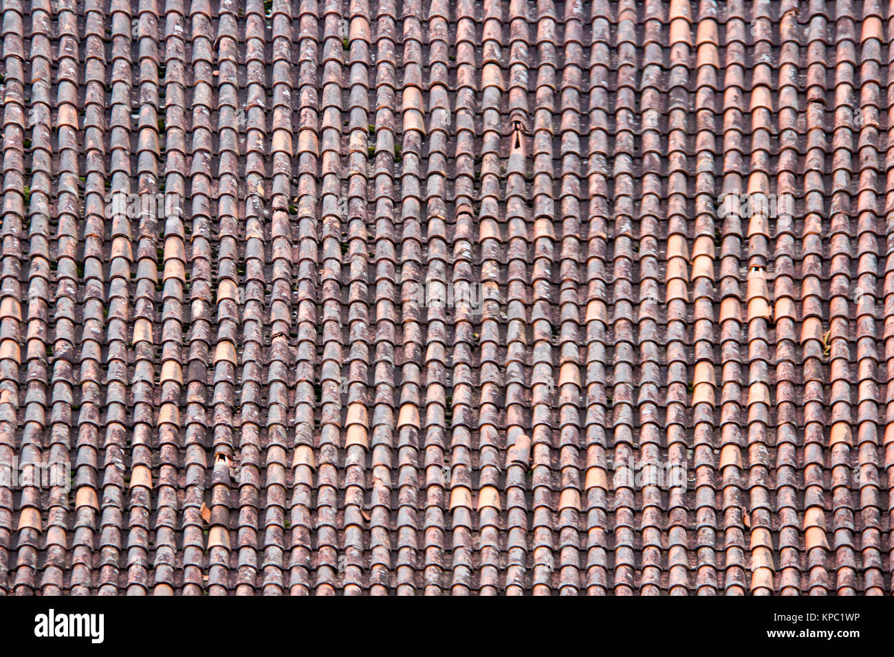 Antic Tile texture on the roof of an old Turaida castle in Latvia ...
