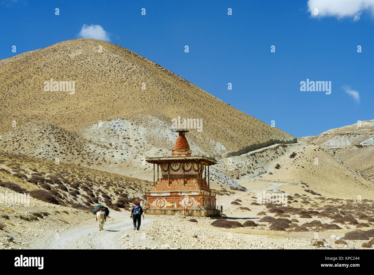Nepalese horseman walking towards Sungda chorten en route to Lo ...
