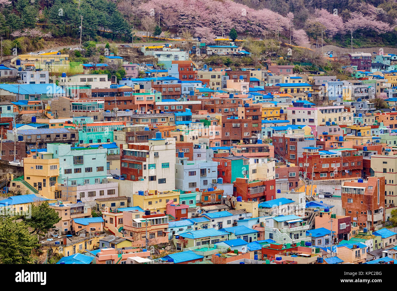 Gamcheon Culture Village Stock Photo - Alamy