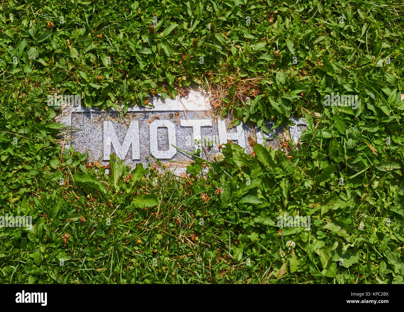 Mother on gravestone covered by grass in cemetery Stock Photo - Alamy