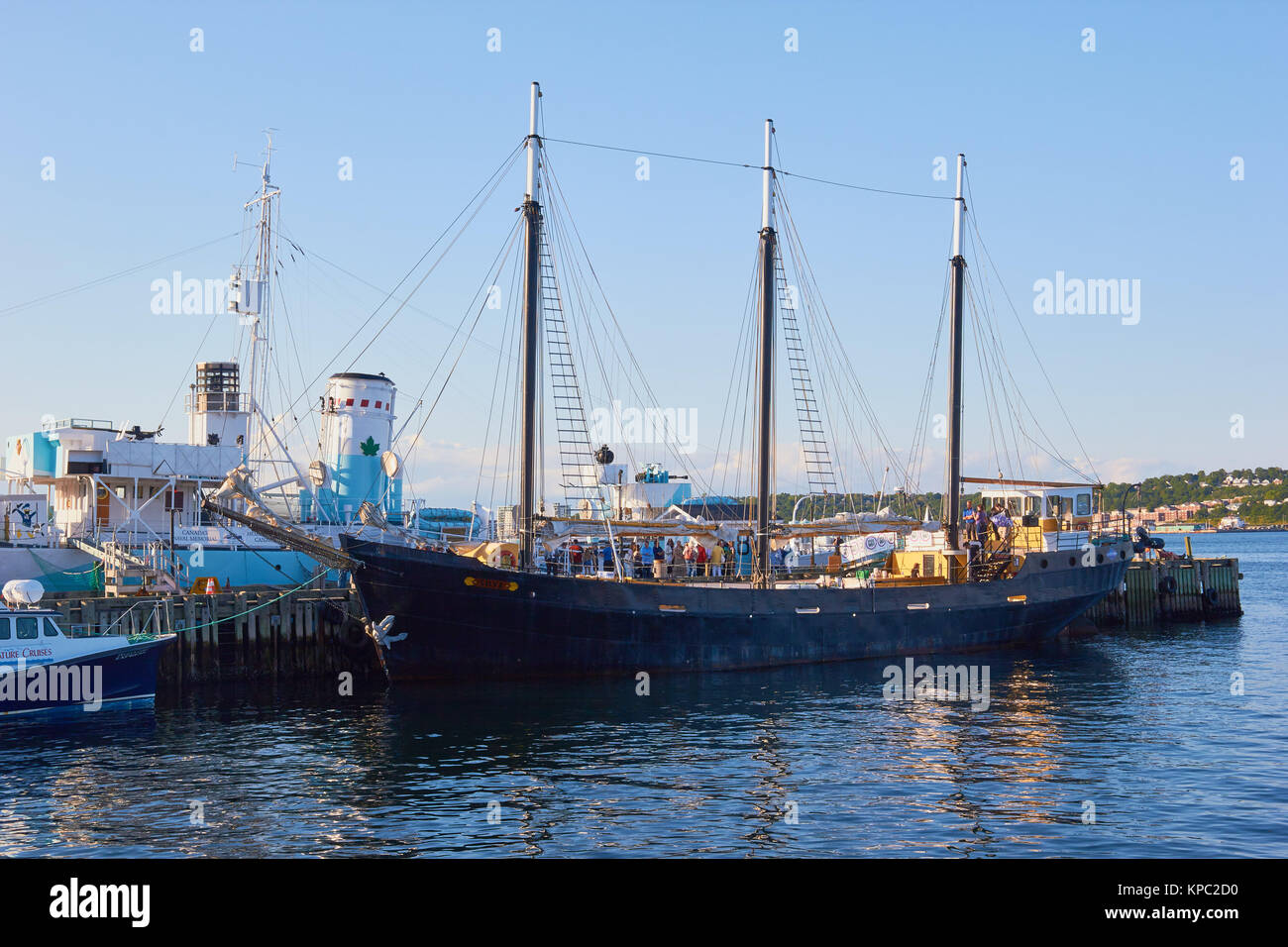 Silva a tall ship schooner, Halifax Harbour, Halifax, Nova Scotia ...