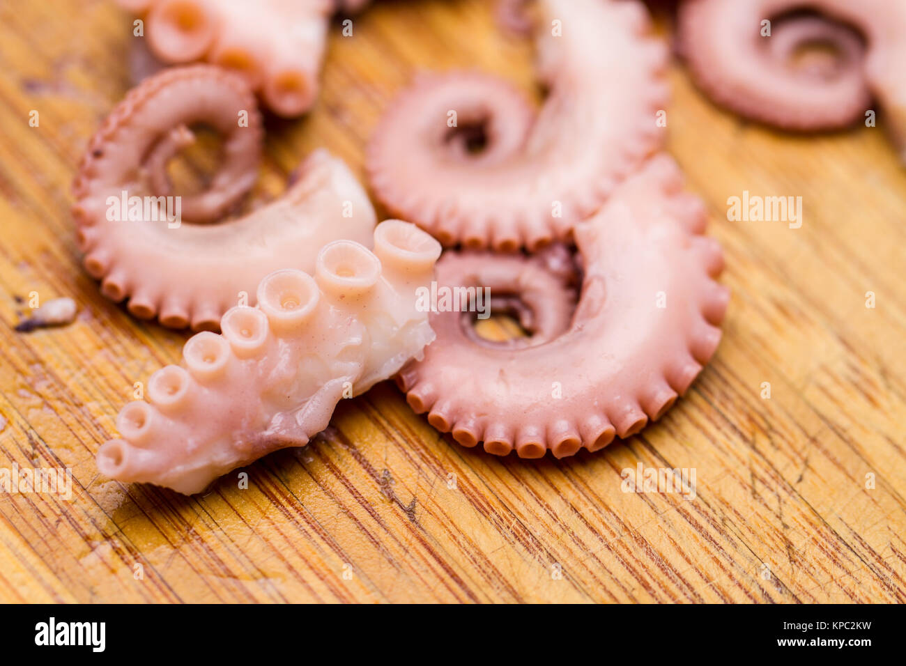 Brown octopus isolated hi-res stock photography and images - Alamy