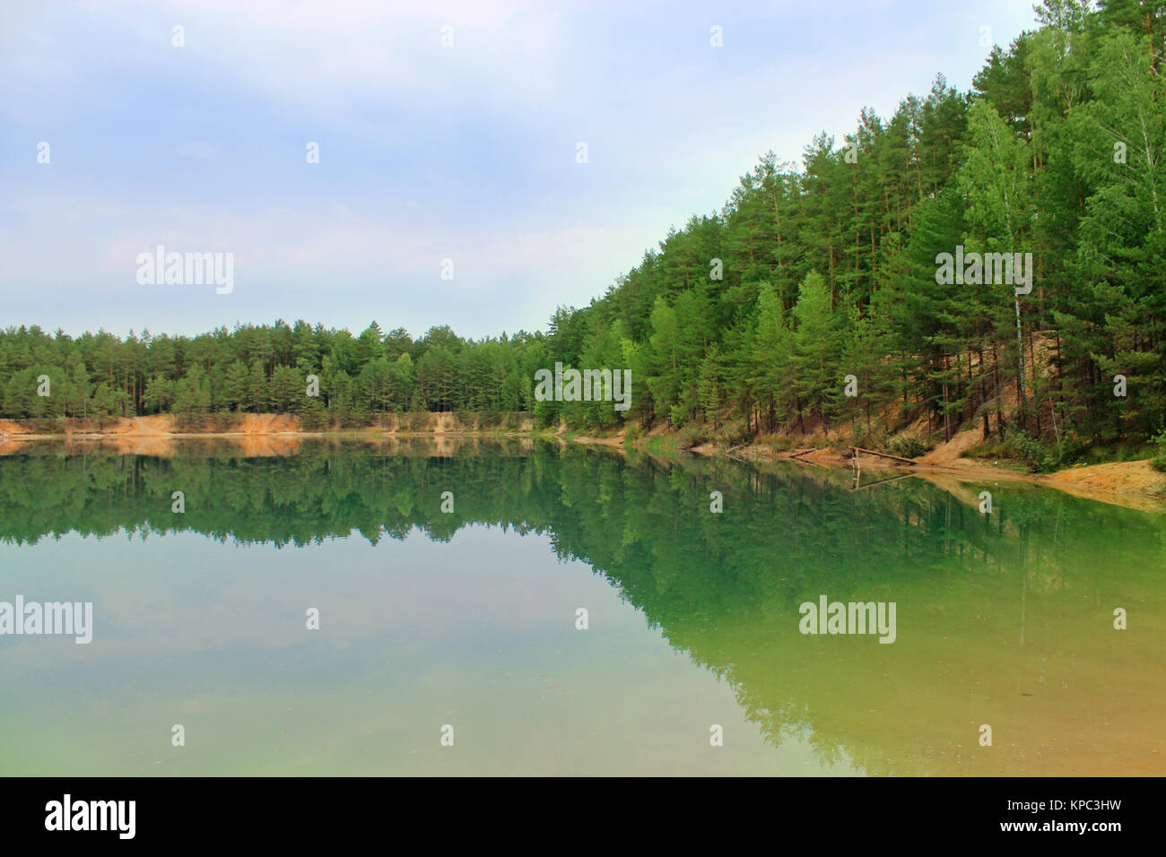 lake in the forest Stock Photo - Alamy