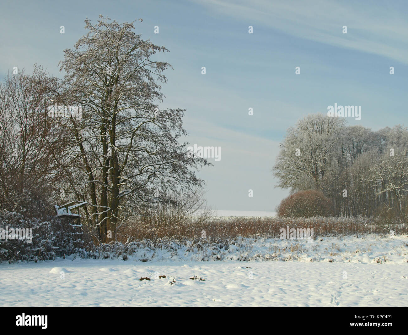 landscape in ice and snow Stock Photo - Alamy