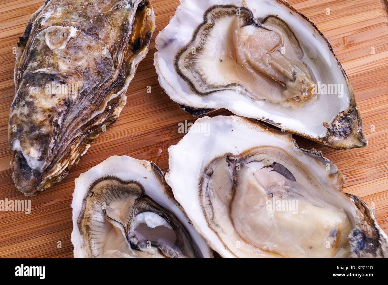 Gourmet fresh french oysters Stock Photo - Alamy