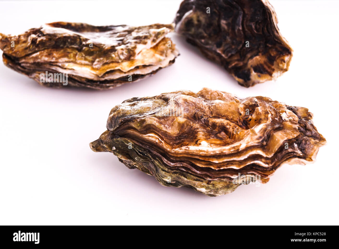 Gourmet fresh french oysters Stock Photo - Alamy