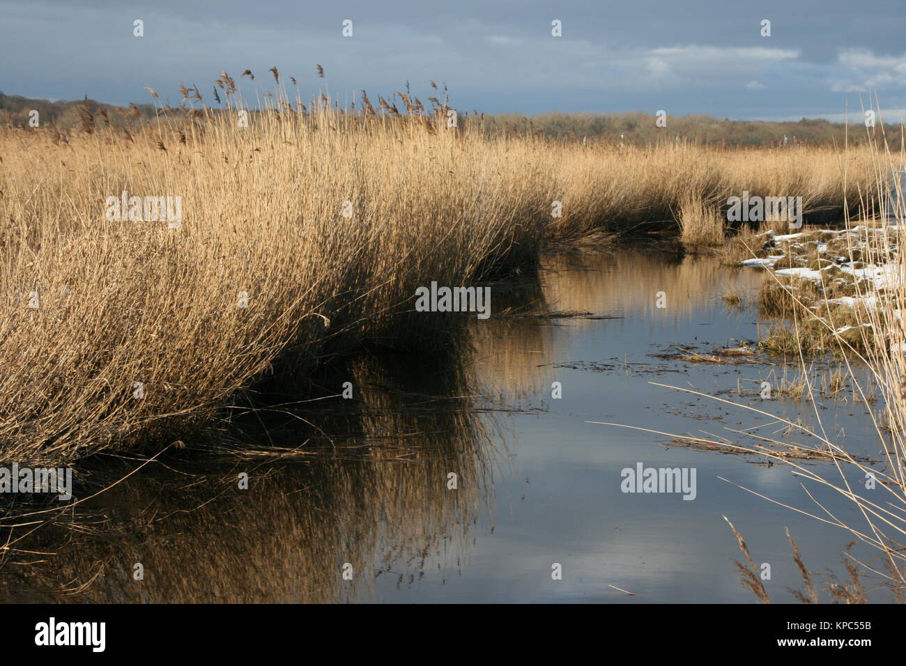 Rooftop reed hi-res stock photography and images - Alamy