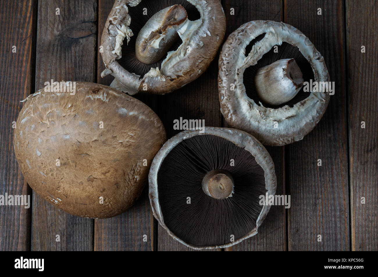 fresh portobello mushrooms Stock Photo - Alamy
