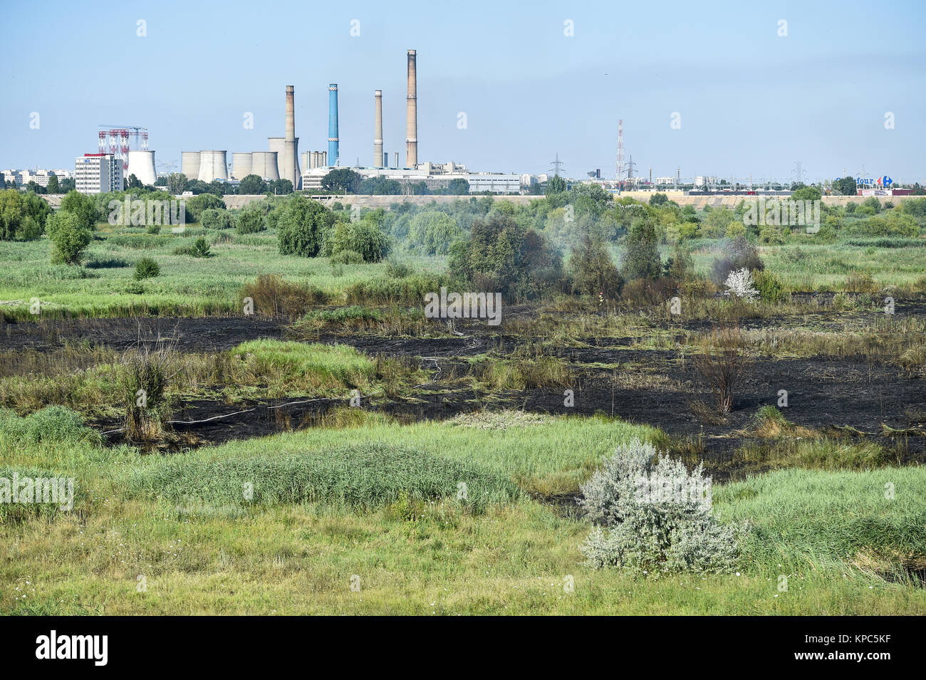 Extinguished fire in a natural park in summer season Stock Photo - Alamy