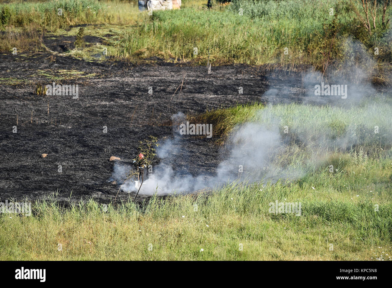 Extinguished fire in a natural park in summer season Stock Photo - Alamy