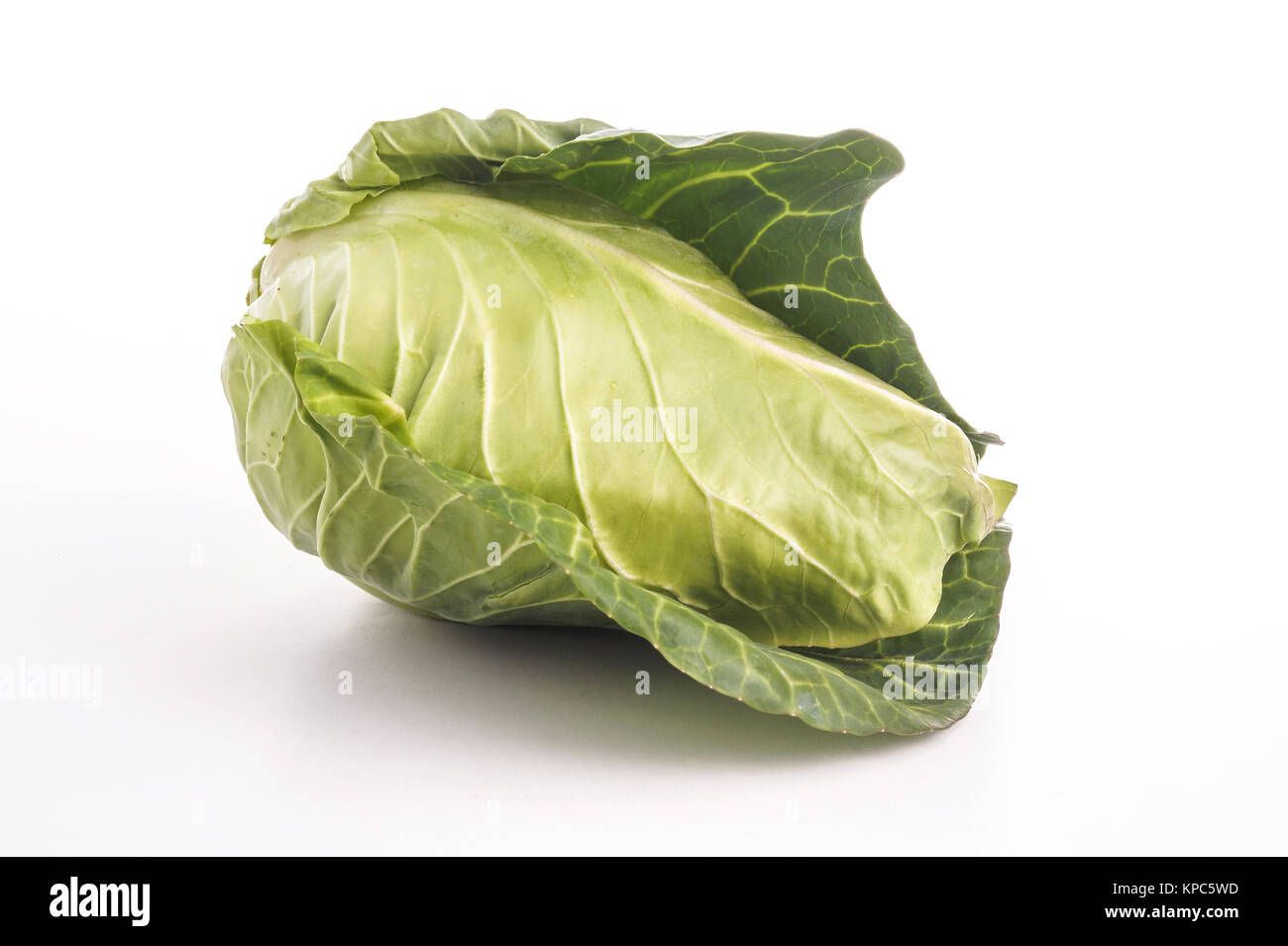 Healthy Spring Cabbage Stock Photo - Alamy