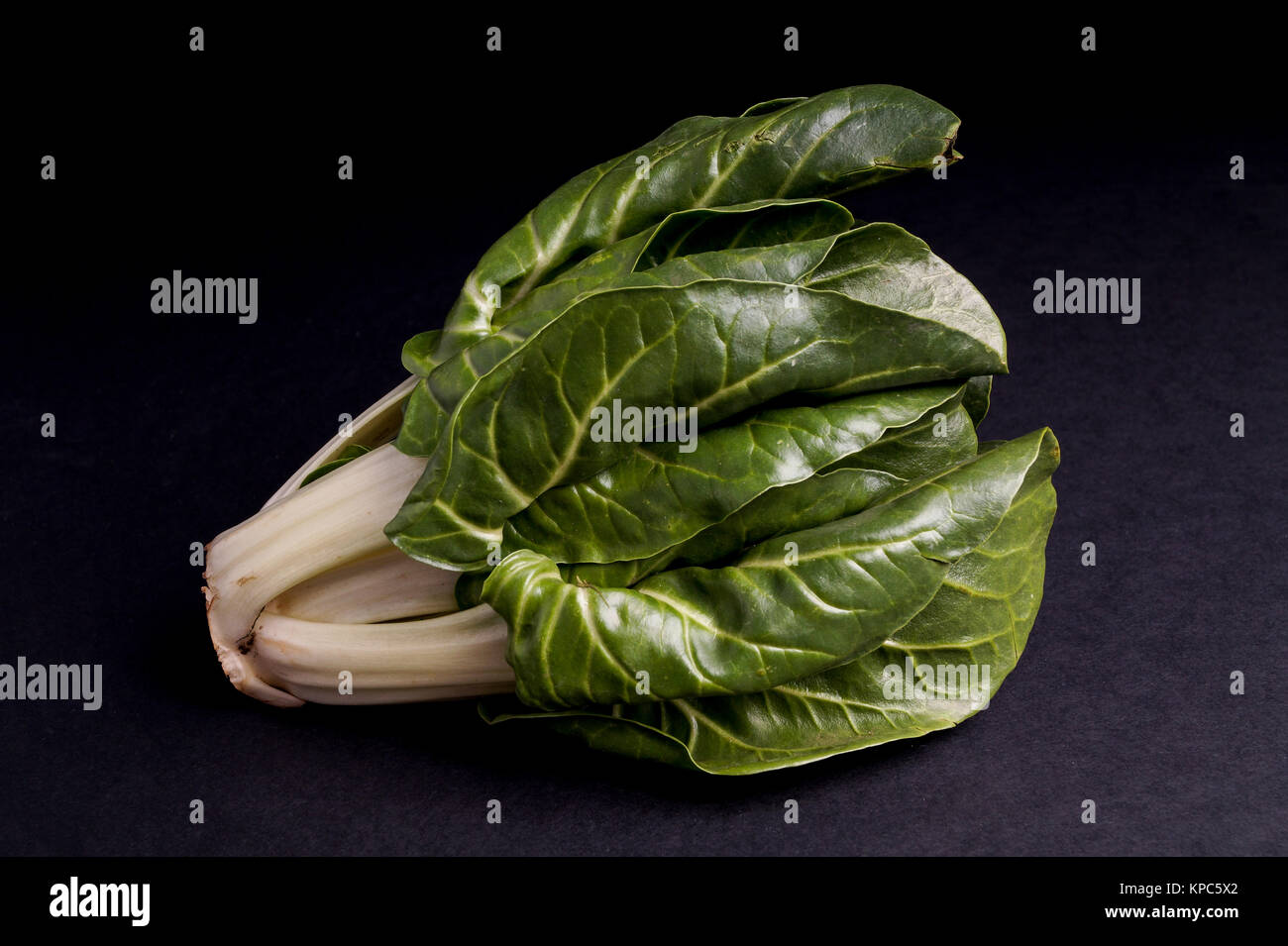 Fresh organic Mangold Stock Photo - Alamy