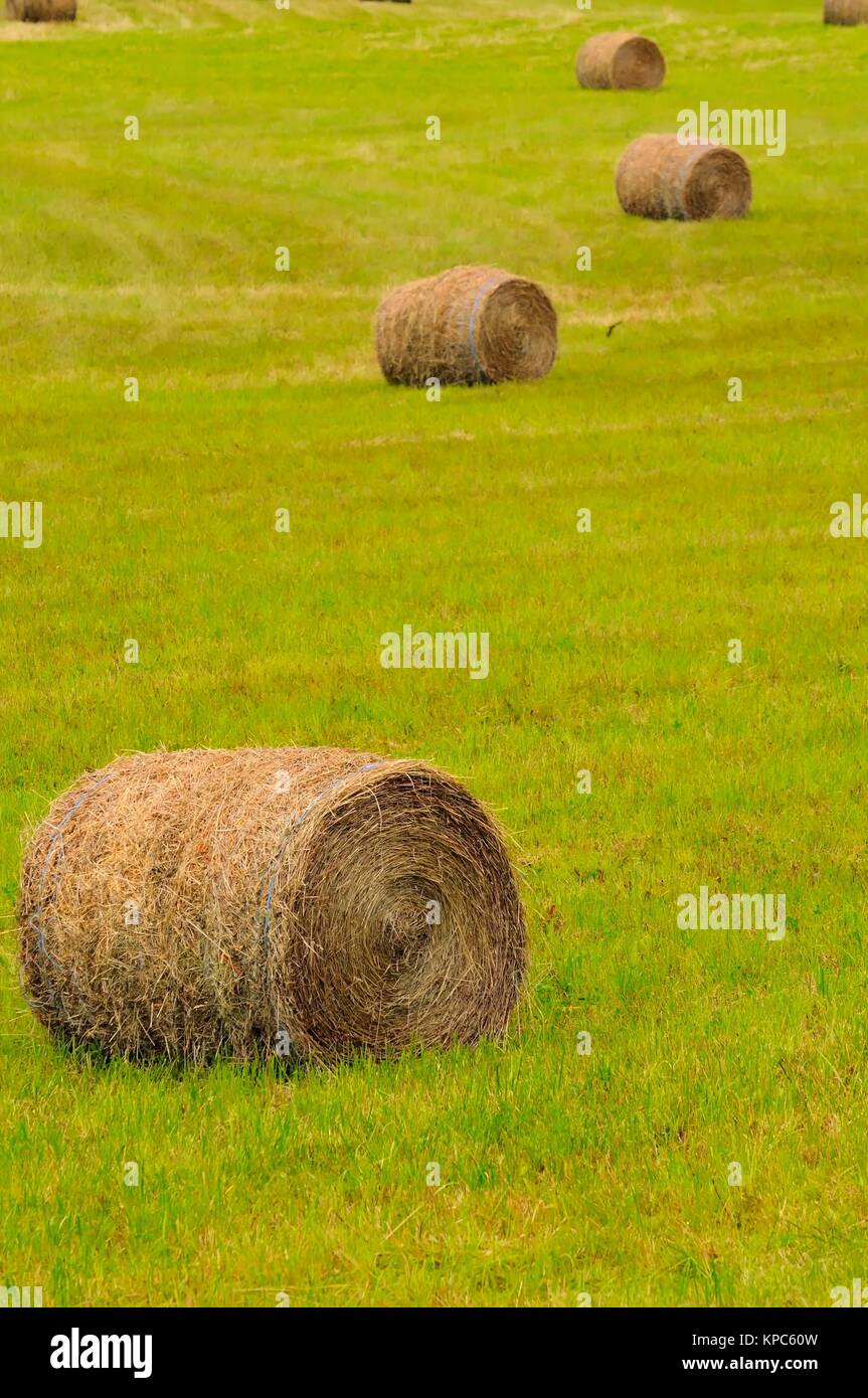 Big bales hi-res stock photography and images - Alamy