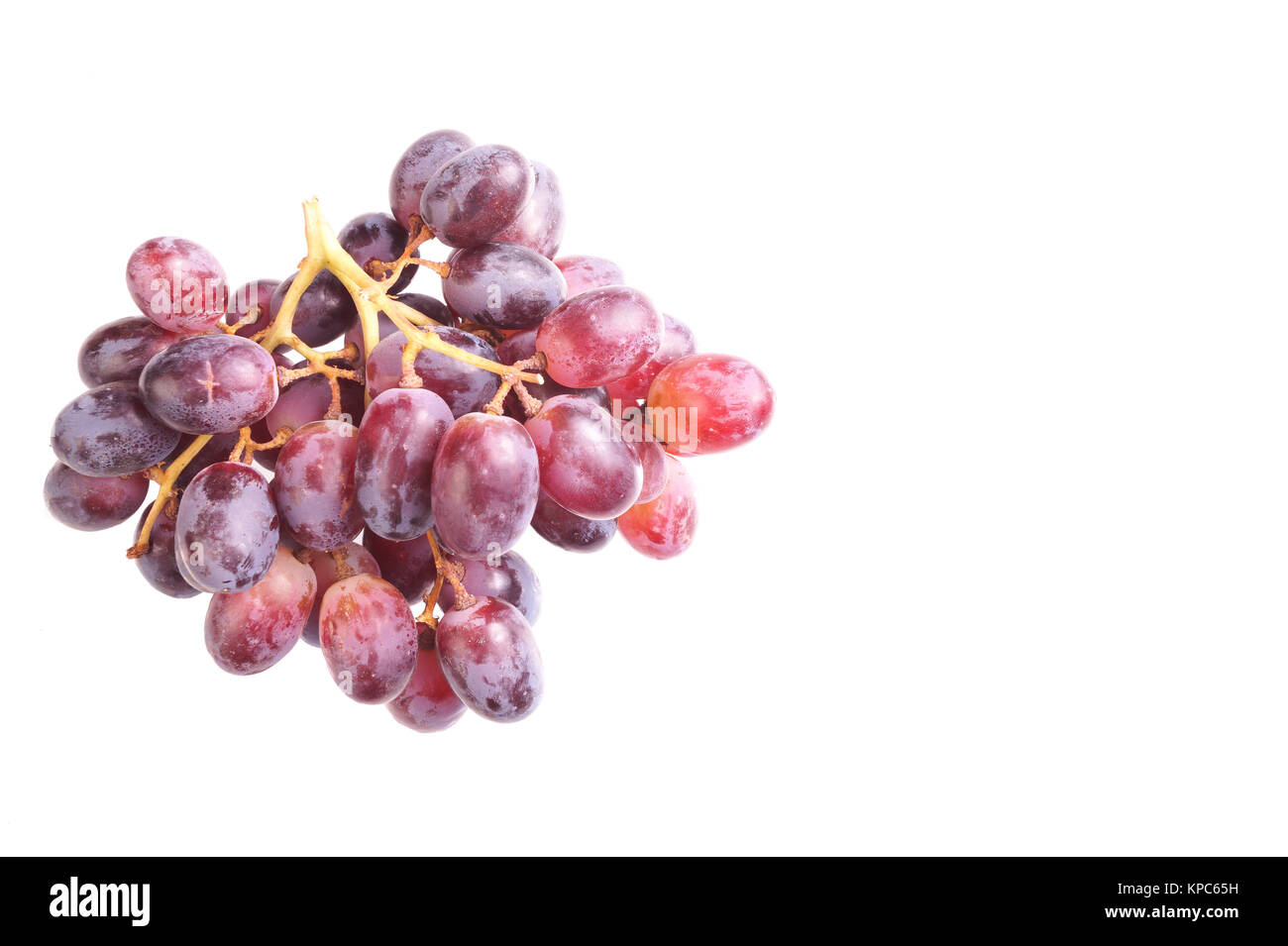 Purple bunches grapes red Cut Out Stock Images & Pictures - Alamy