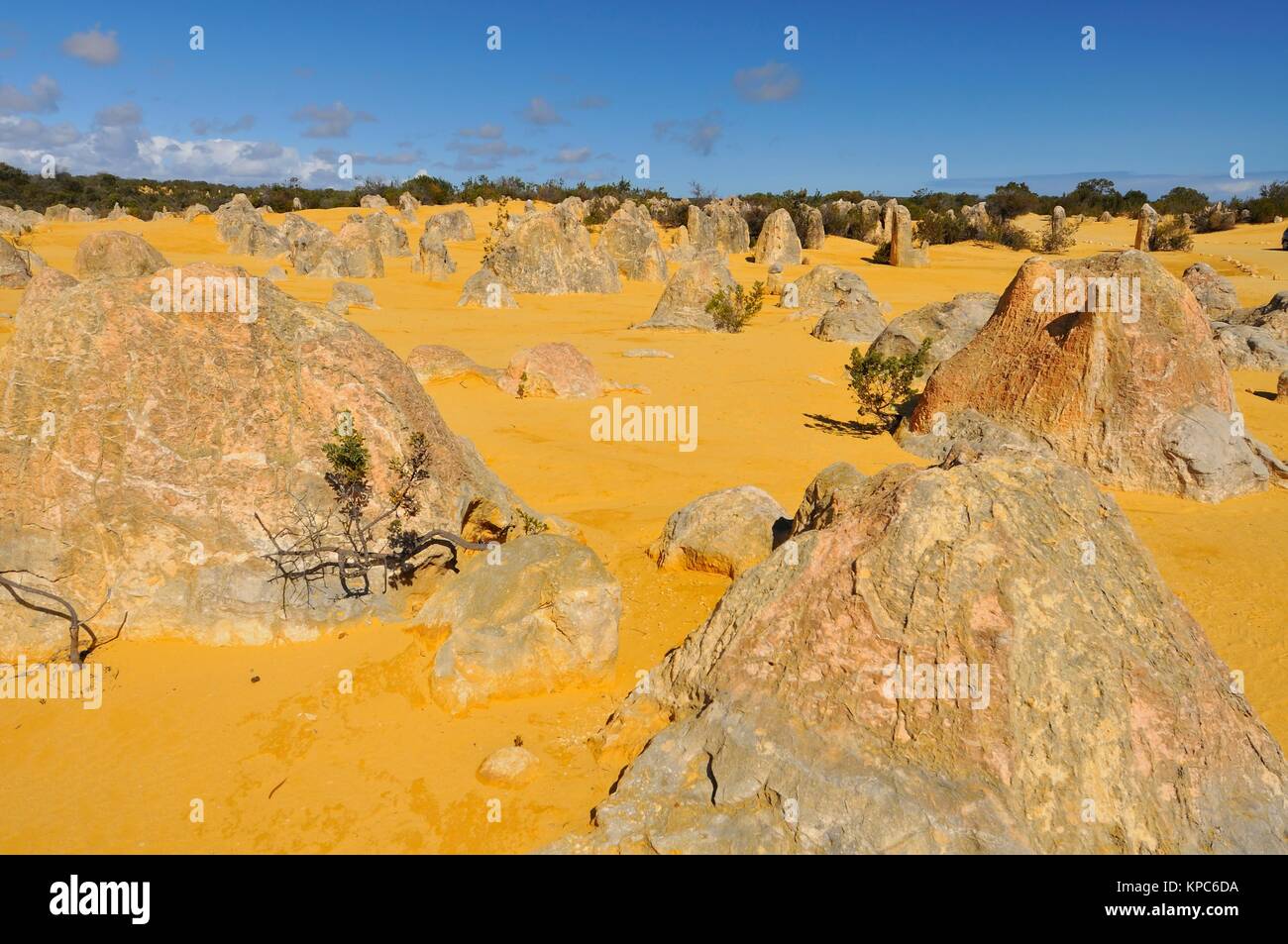 Pinnacles Desert on the outskirts of Perth, Australia dotted with ...