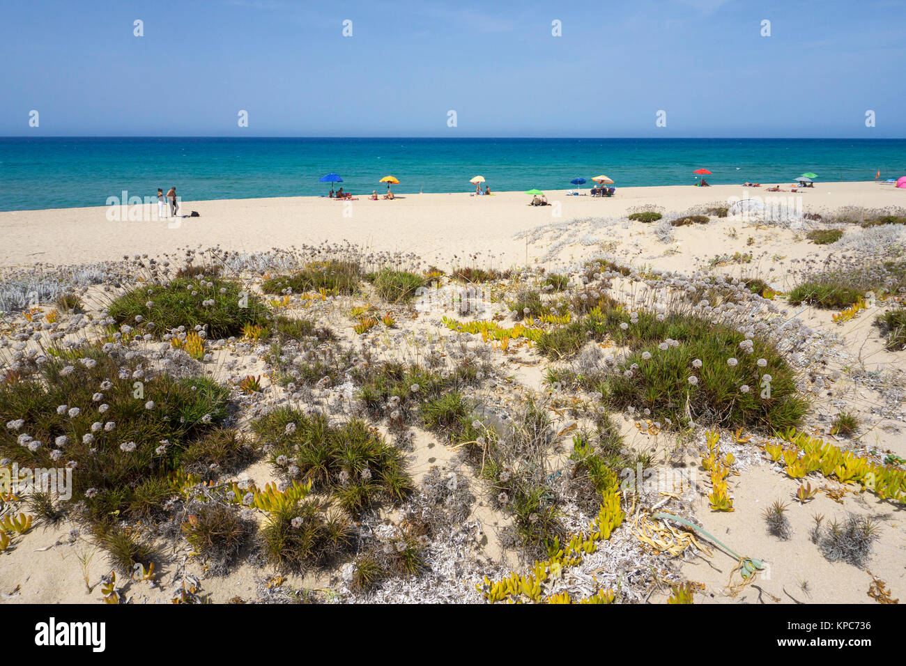 Bathing island hi-res stock photography and images - Alamy
