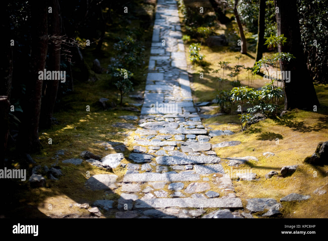 Serene Ryan-Ji path in Japan Stock Photo - Alamy