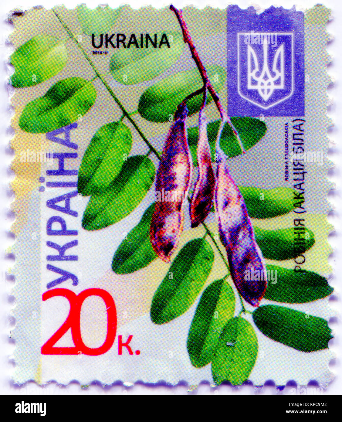 A series of "Flora of Ukraine”. Postage stamp shows the image of ...