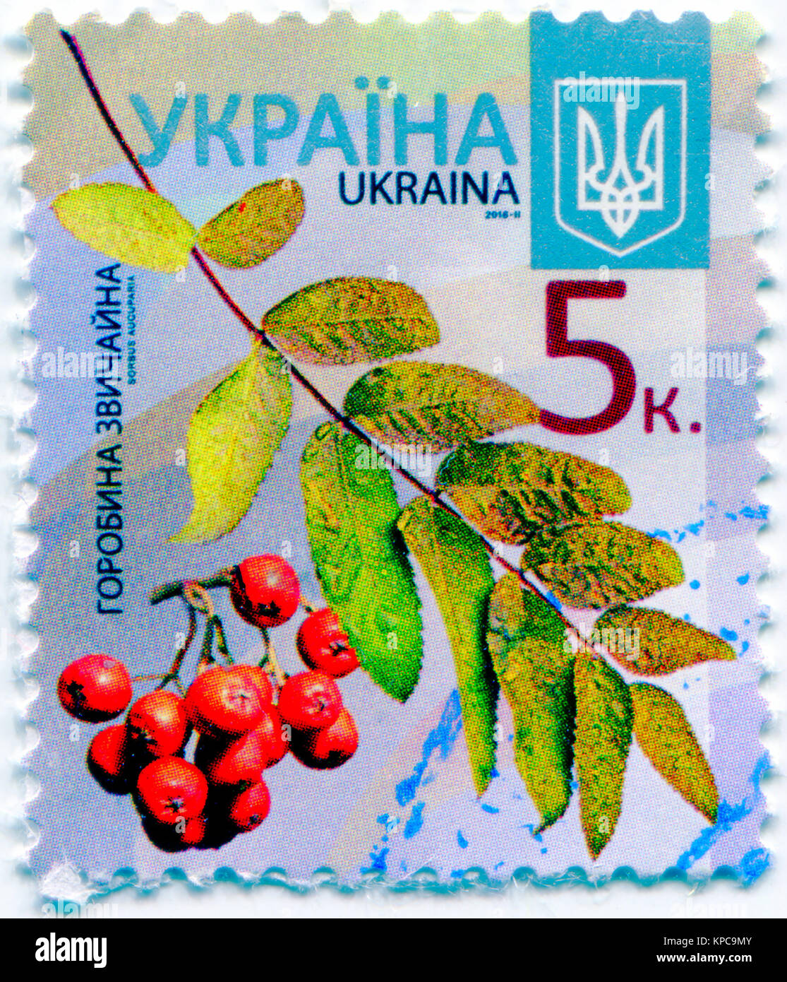 A series of "Flora of Ukraine”. Postage stamp shows the image of Sorbus ...