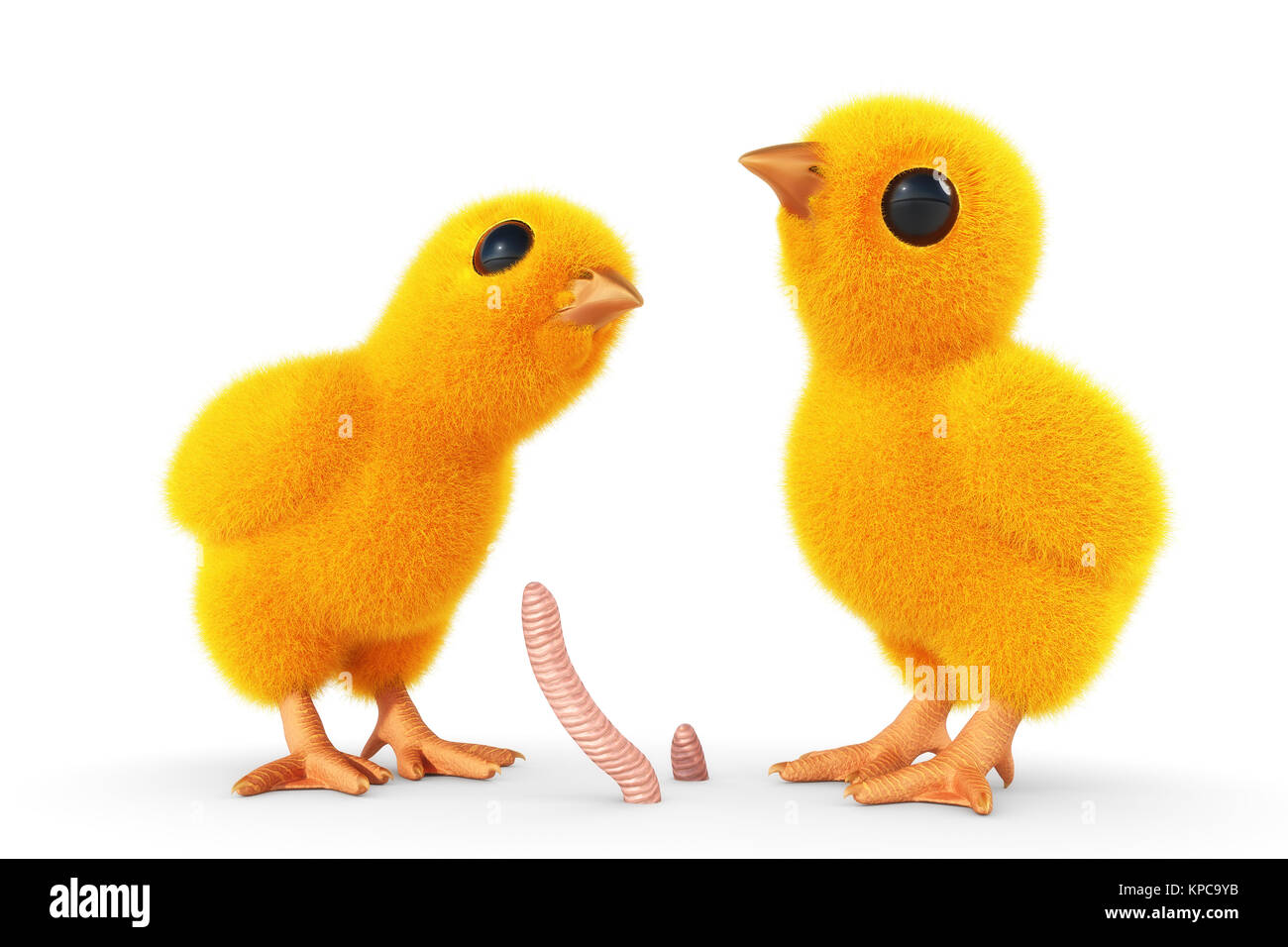 two chicks and worm Stock Photo - Alamy