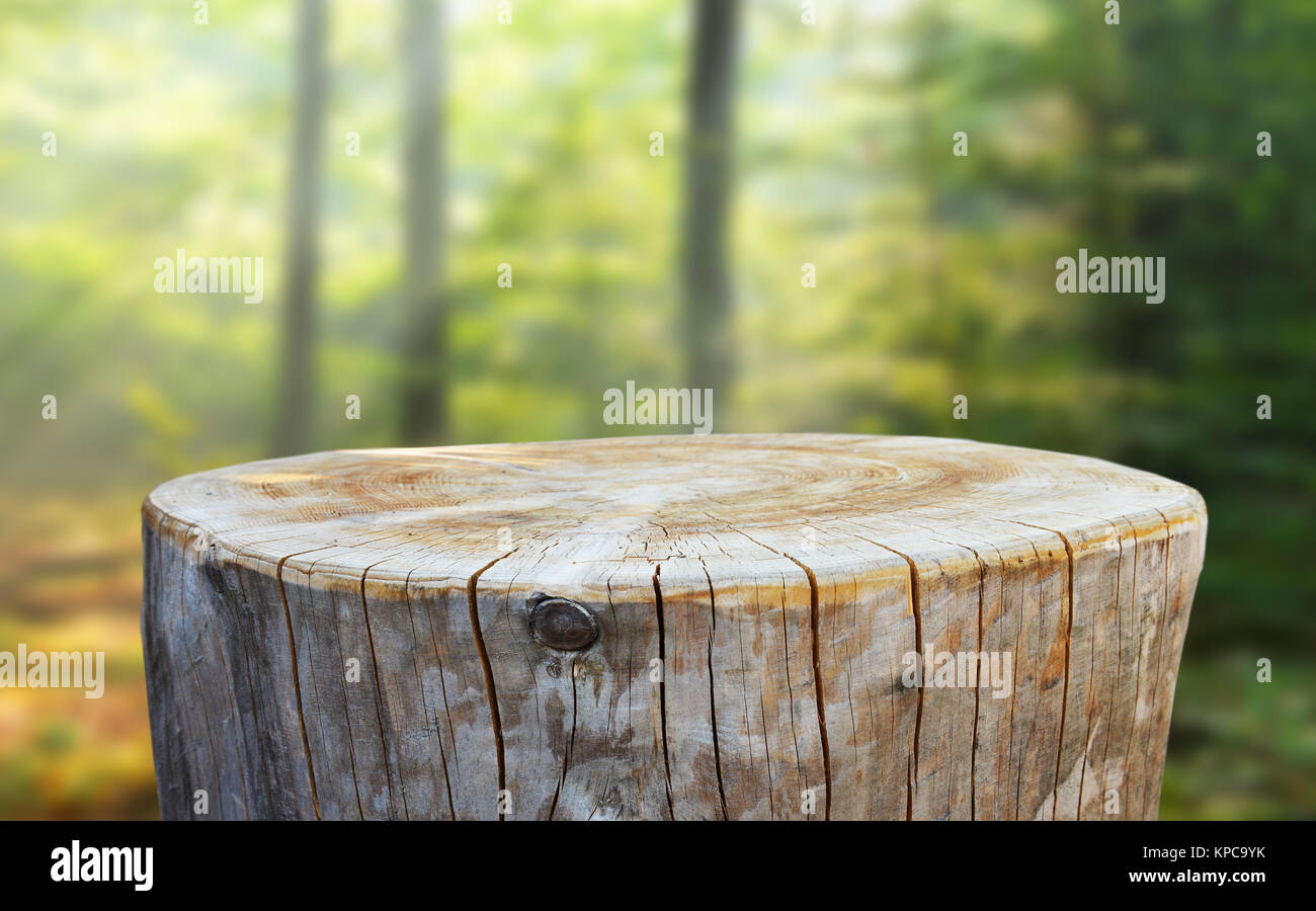 Empty tree trunk for display montags Stock Photo - Alamy