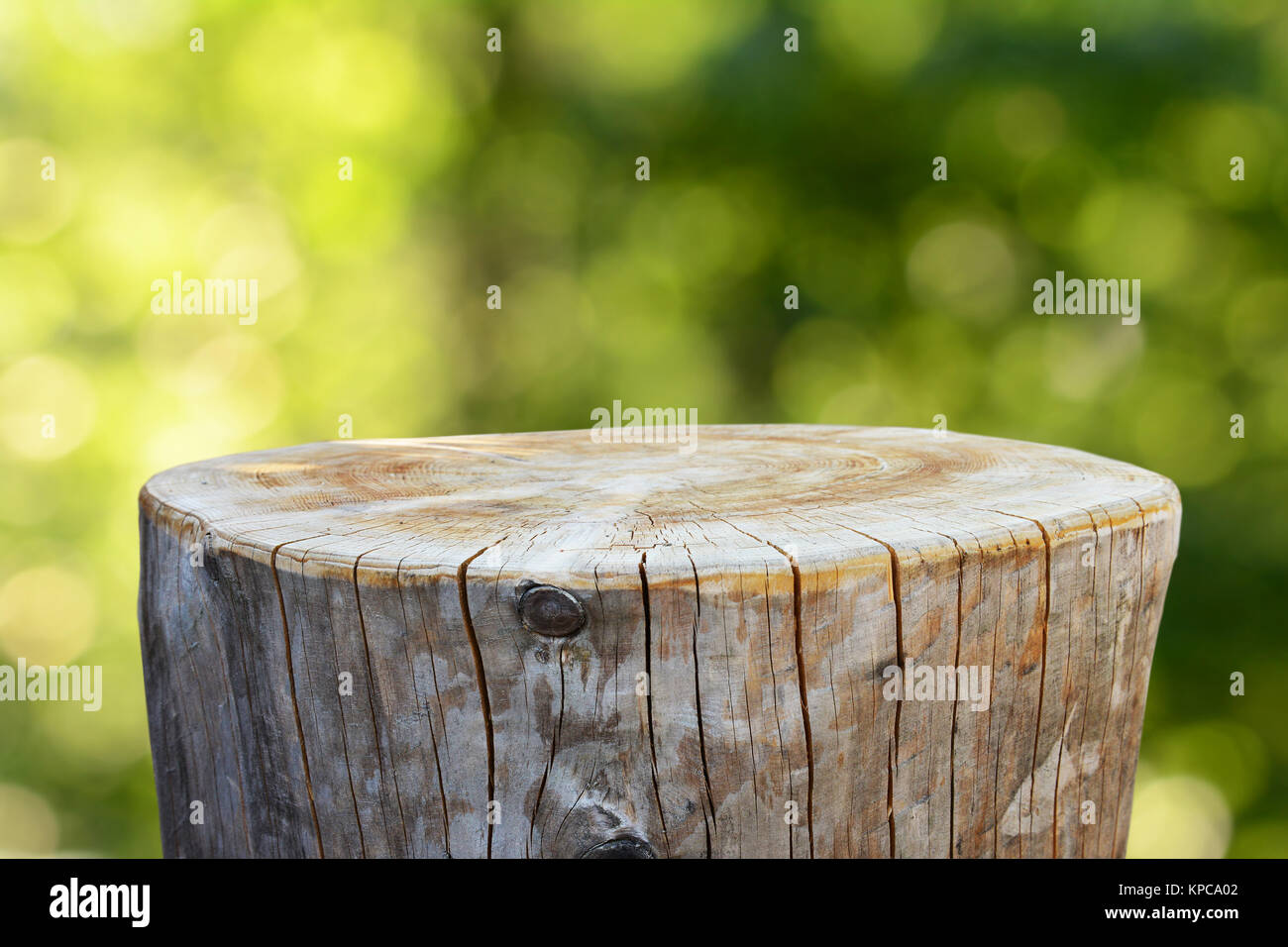 Empty tree trunk for display montags Stock Photo - Alamy