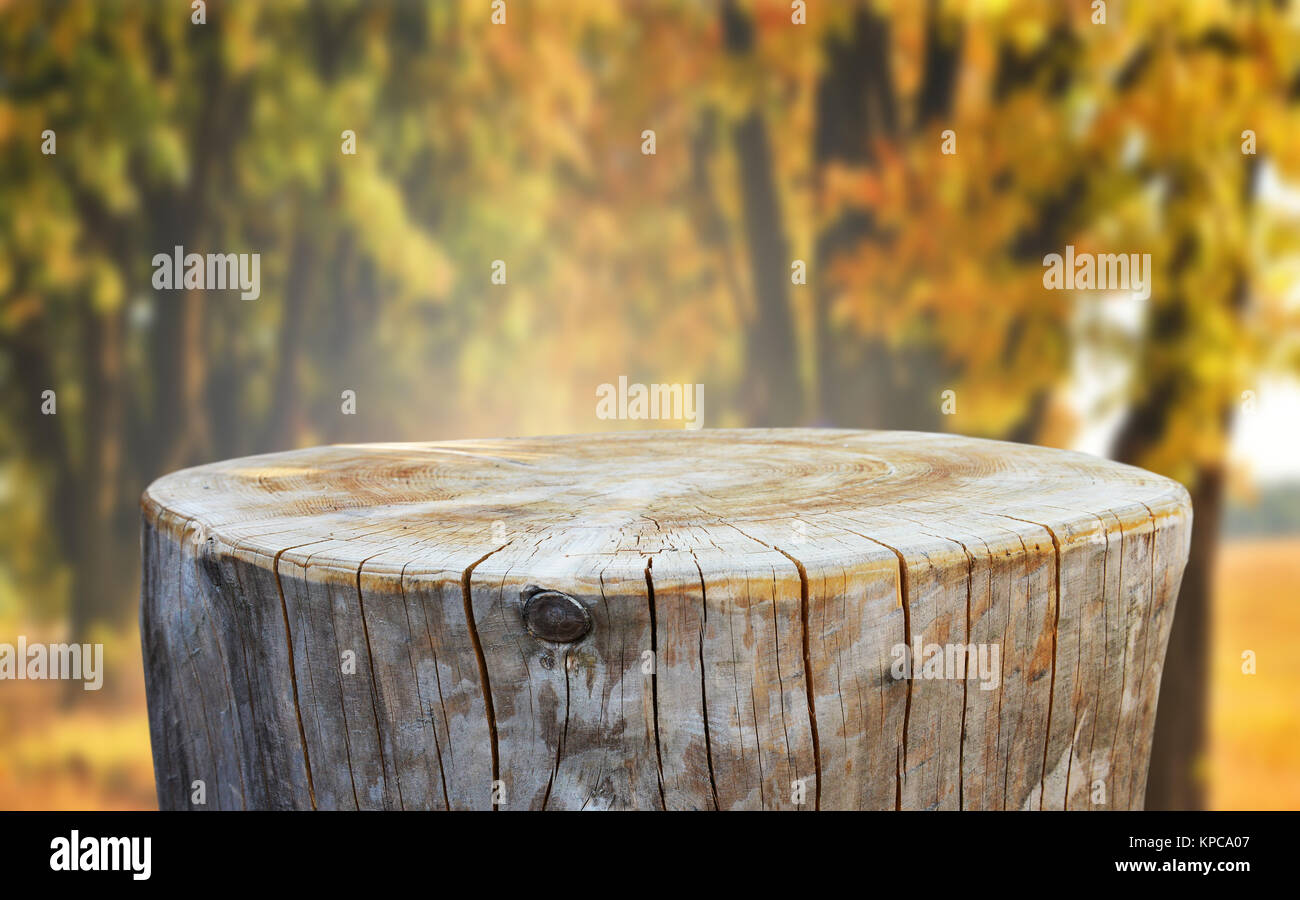 Empty tree trunk for display montags Stock Photo - Alamy