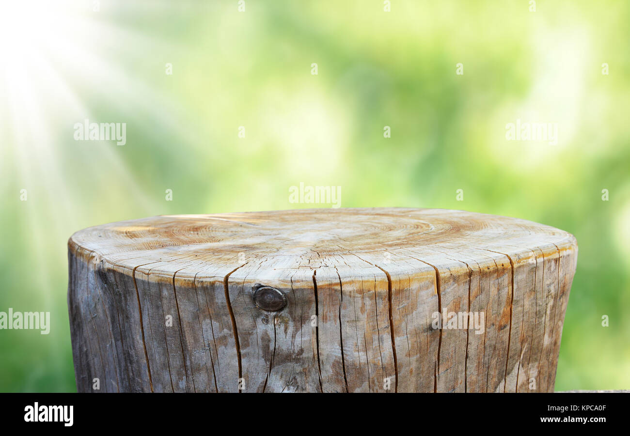 Empty tree trunk for display montags Stock Photo - Alamy