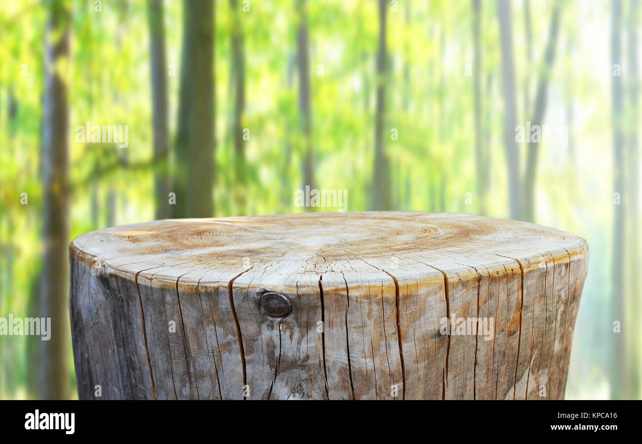Empty tree trunk for display montags Stock Photo - Alamy