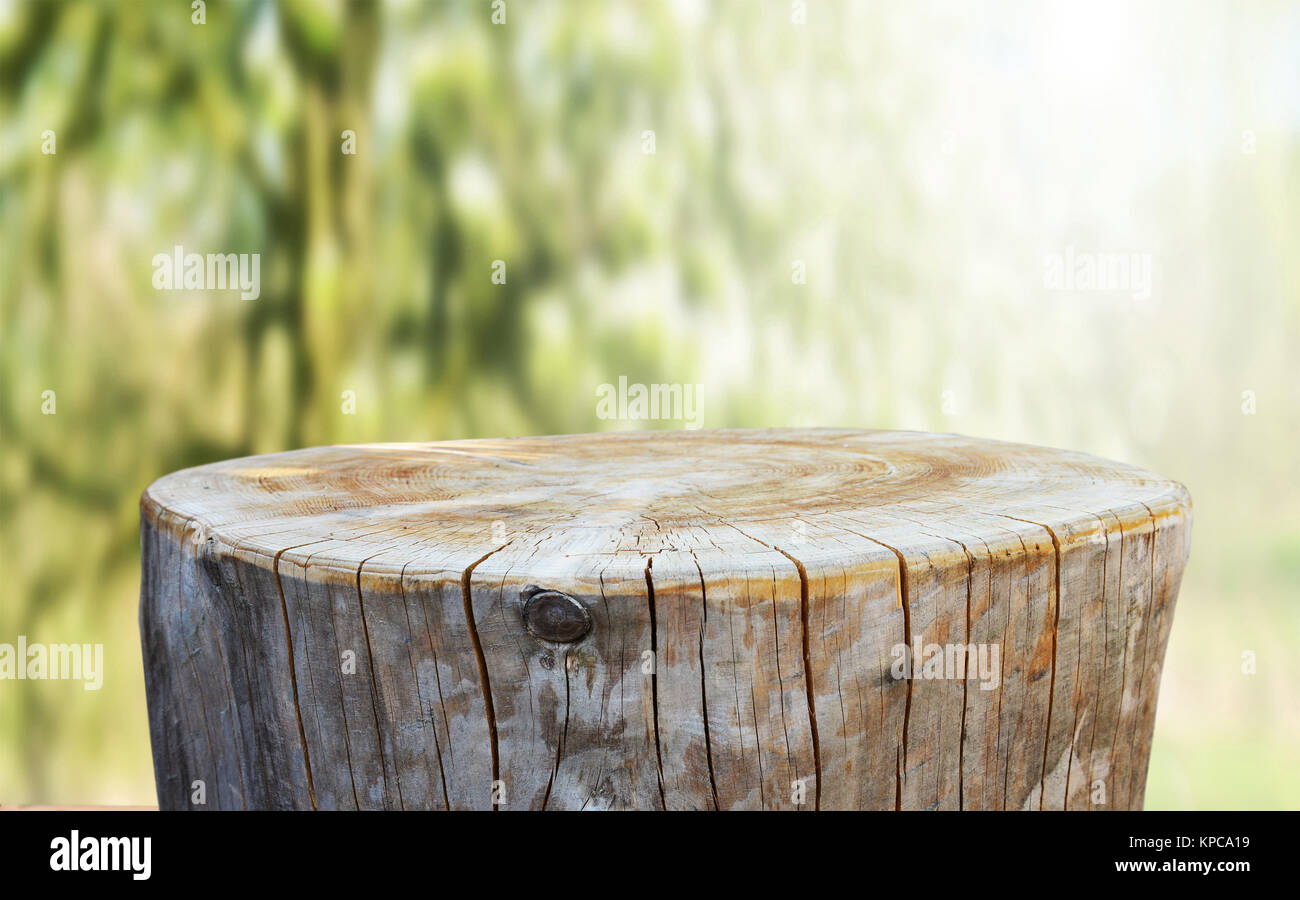 Empty tree trunk for display montags Stock Photo - Alamy