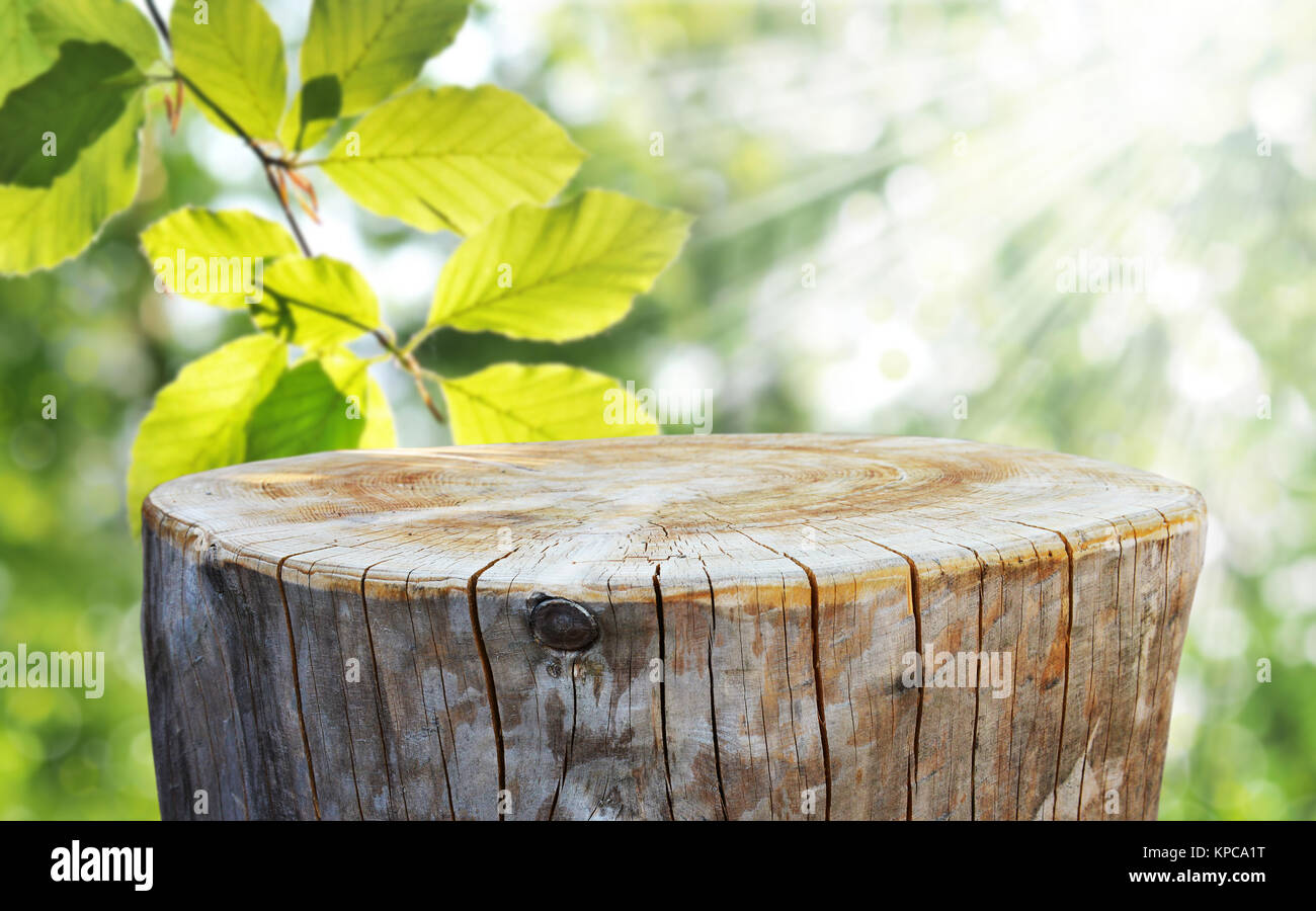 Empty tree trunk for display montags Stock Photo - Alamy