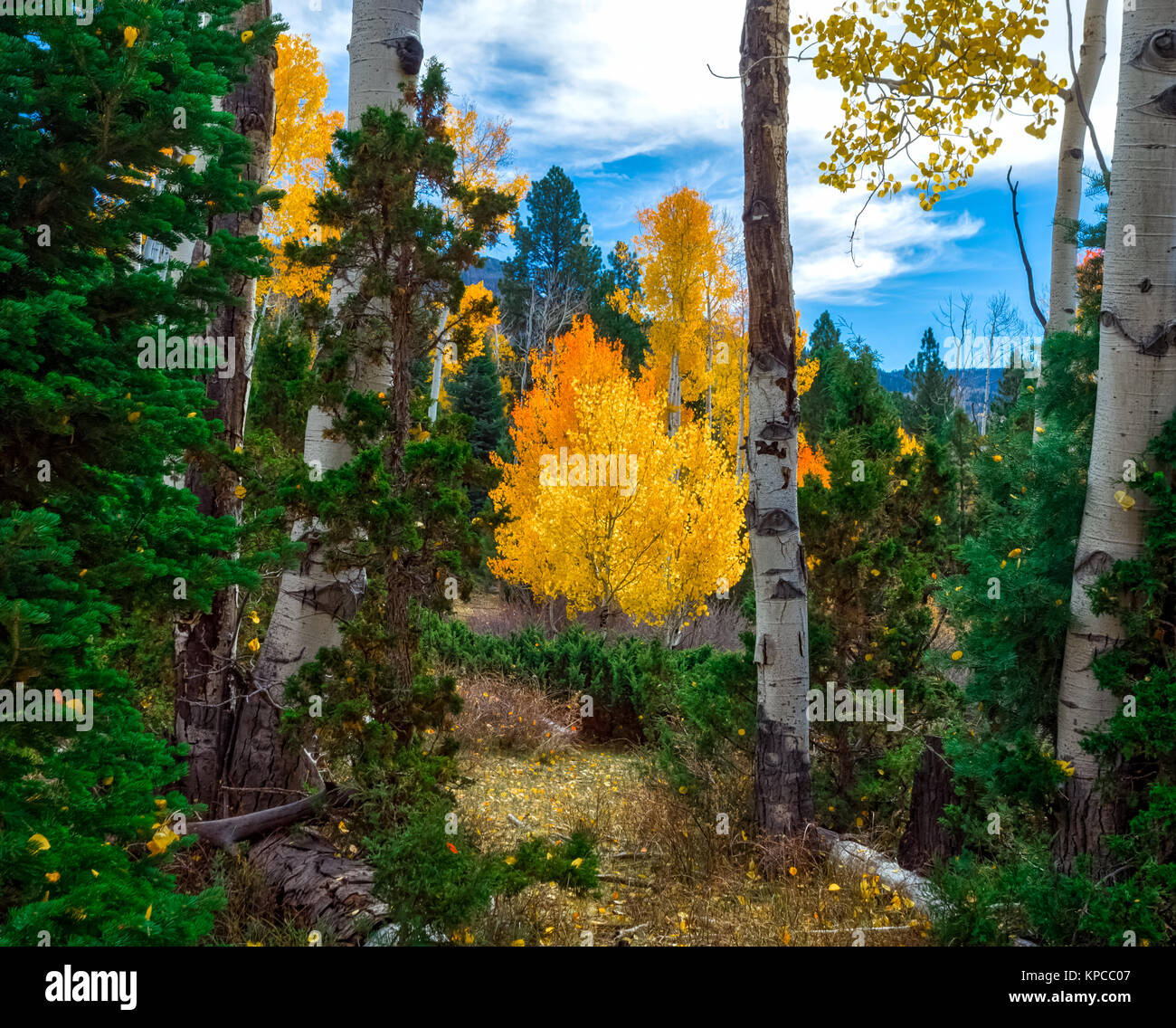 Utah Fall Seasons Stock Photo - Alamy