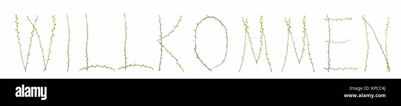 typography and type welcome branches with platelets Stock Photo - Alamy