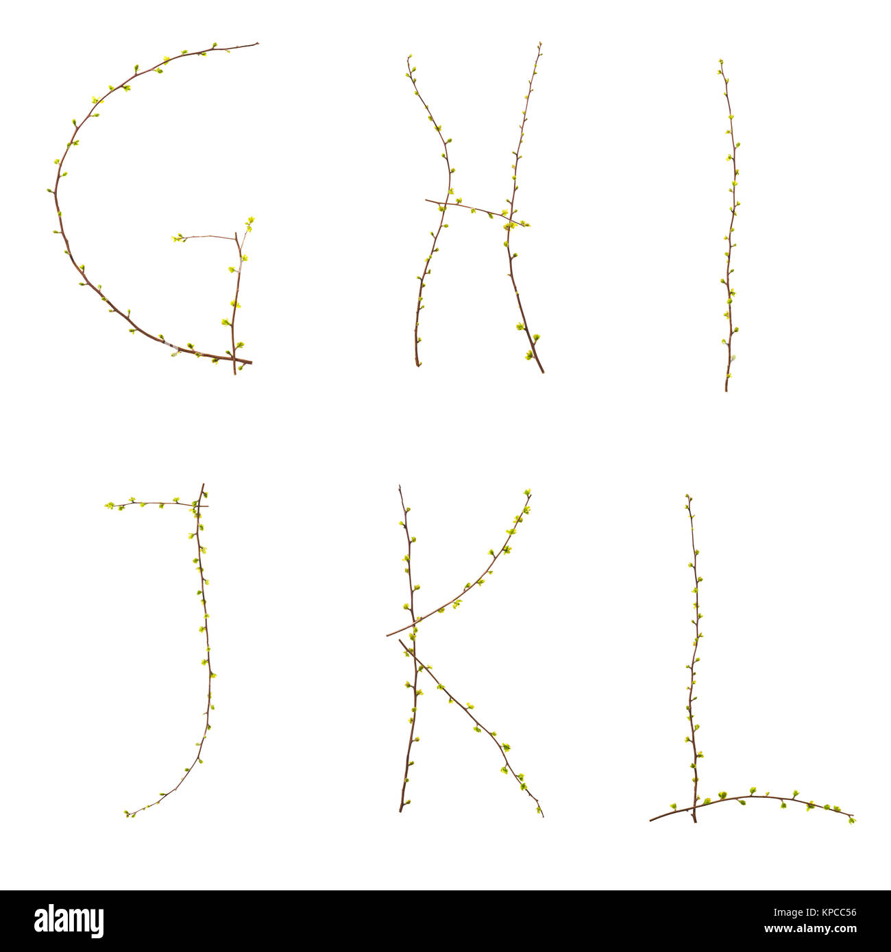 ghijkl Letter as alphabet of branches with green leaves Stock Photo - Alamy
